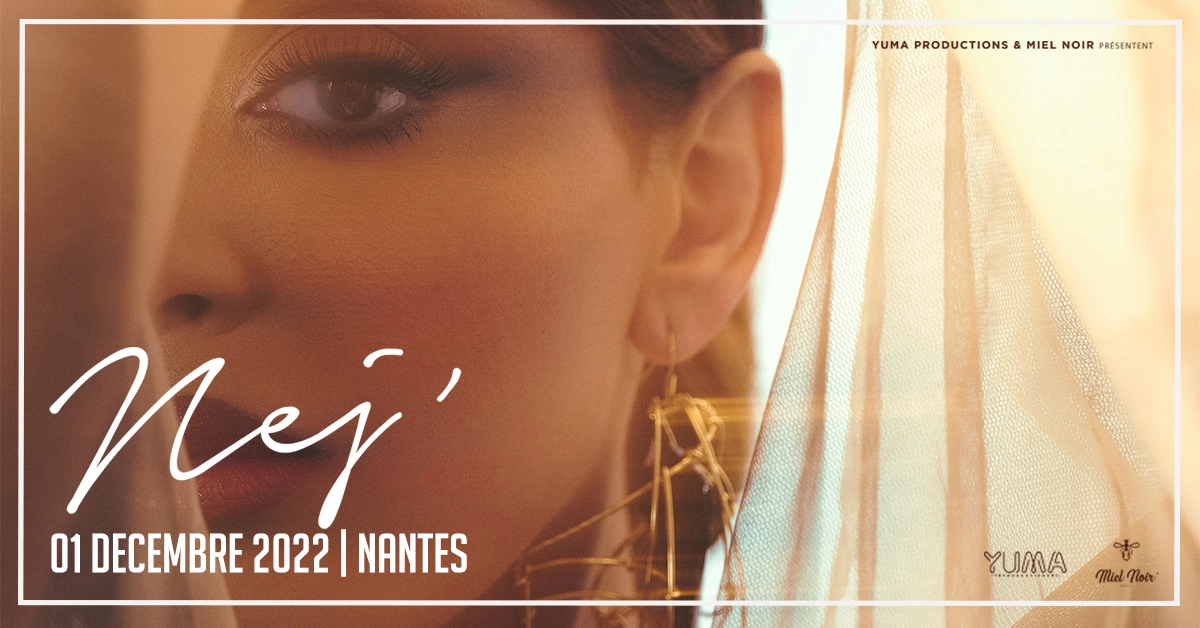 NEJ' en concert à Nantes le 1er décembre 2022 ! • Warehouse